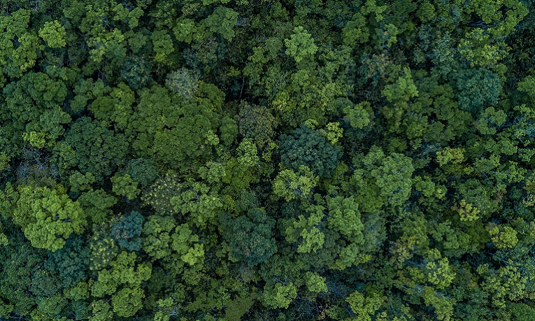 DNV BRINGS ESG [TO LIFE]